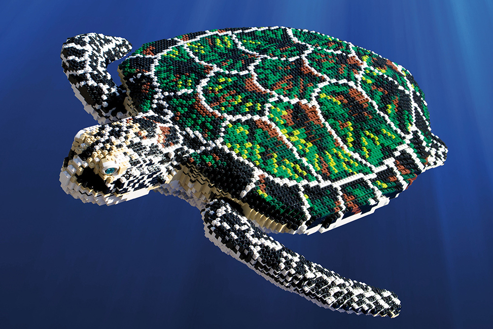 Ocean Bricks | Royal Burgers' Zoo