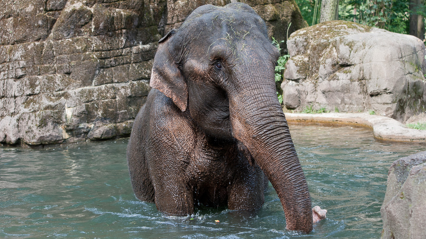 Guided tours | Royal Burgers' Zoo