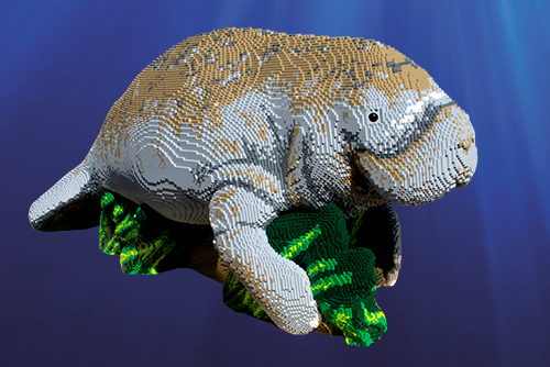 Ocean Bricks | Royal Burgers' Zoo