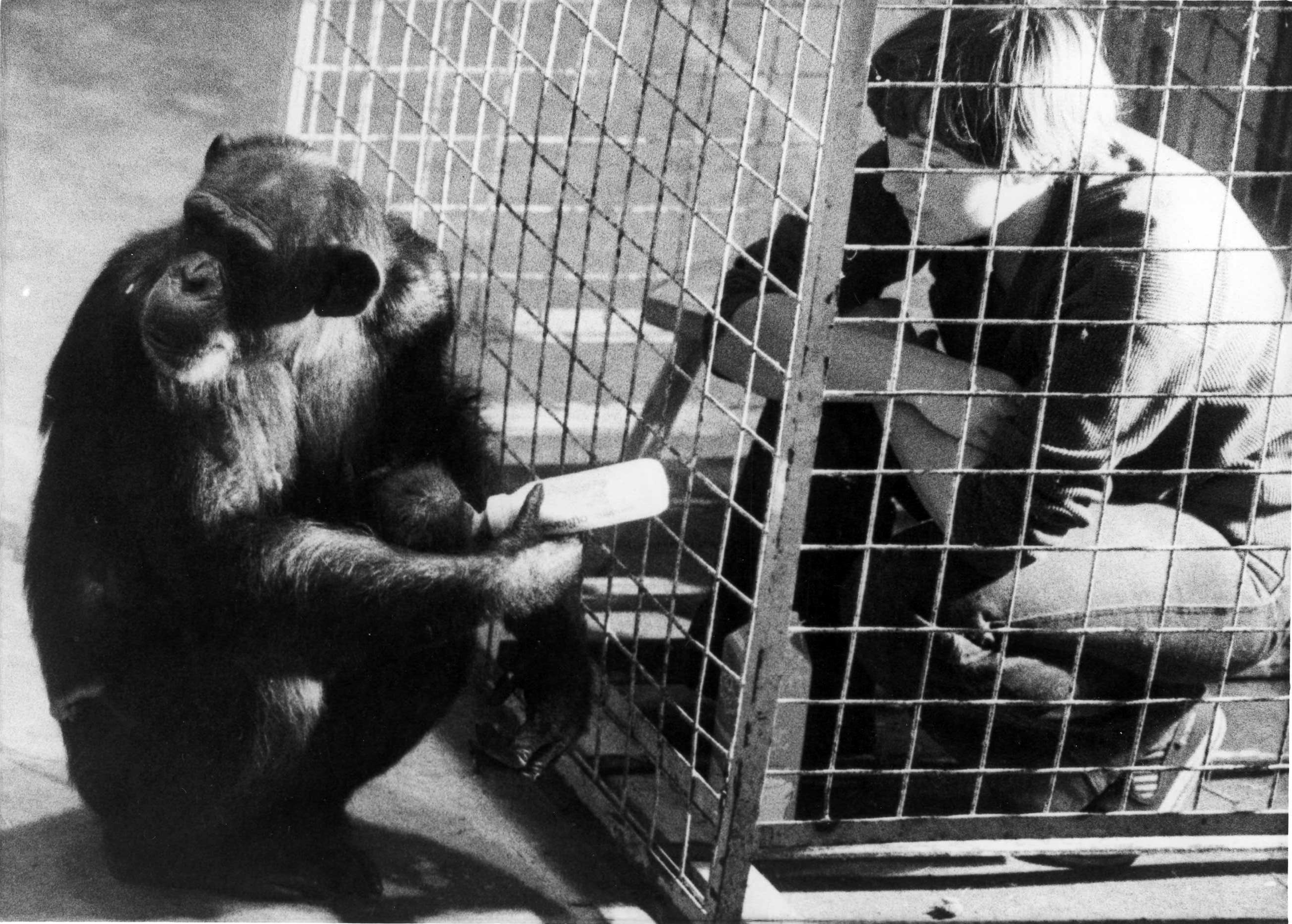 The history of Burgers' Zoo