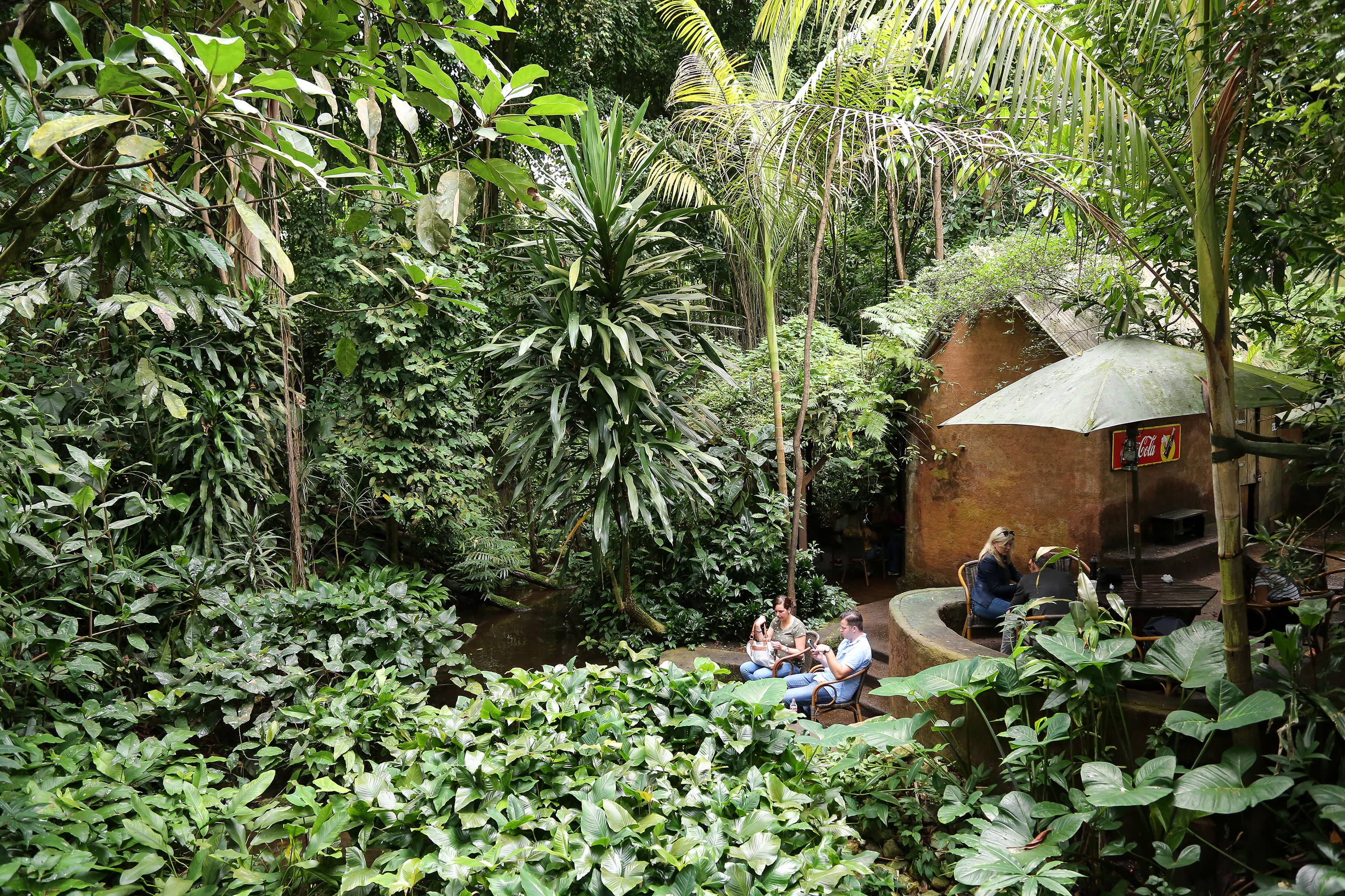 Bush | Royal Burgers' Zoo