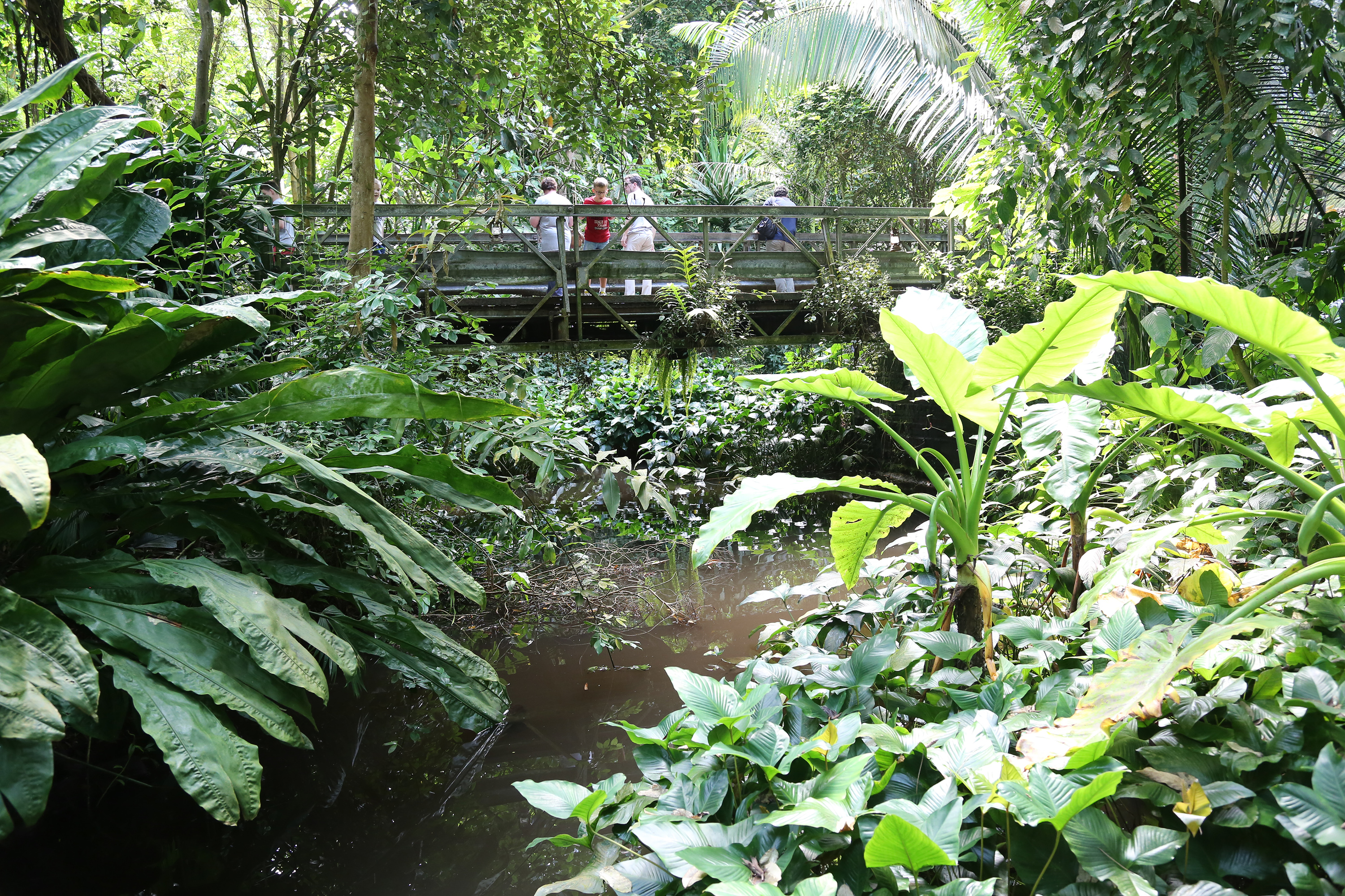 Bush | Royal Burgers' Zoo